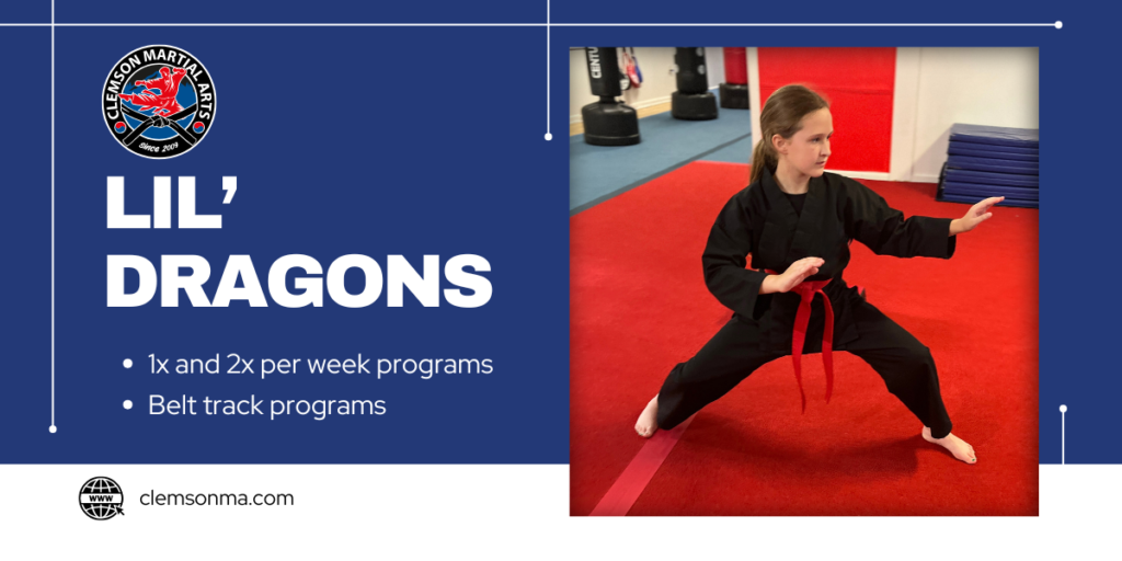 Lil’ Dragons (6-8) • Clemson Martial Arts